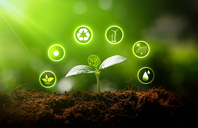 Fundamentals of Renewable Energy & Energy Transition in New Zealand ...